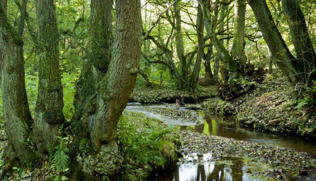Barlaston Downs - Visit Stoke